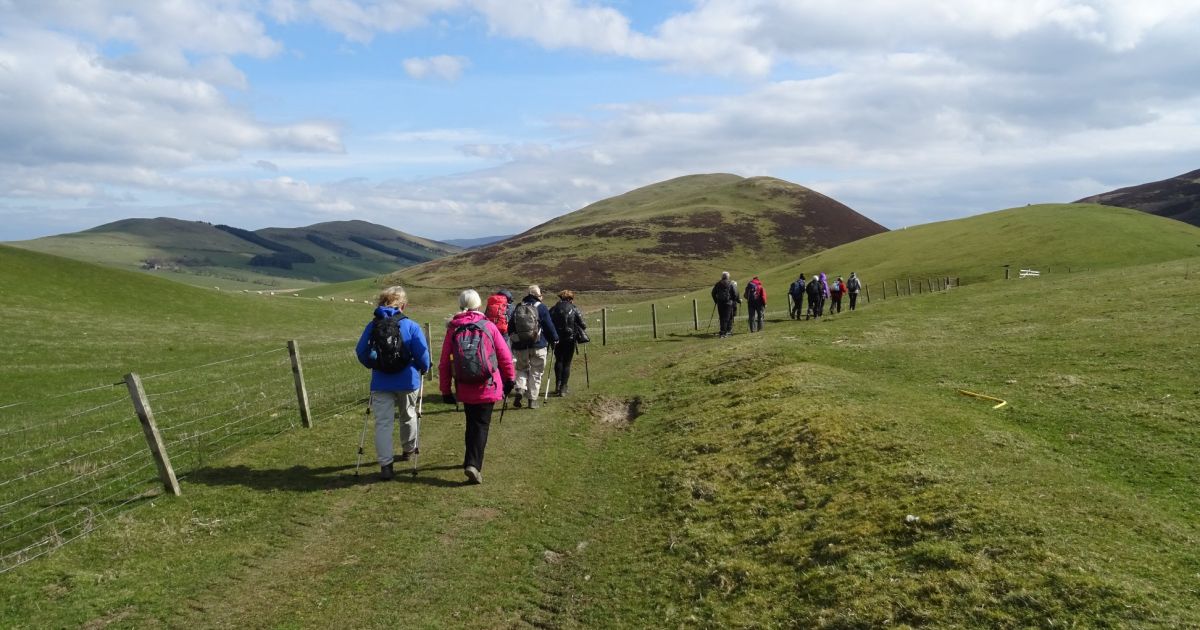 Coulter Circular - Ramblers